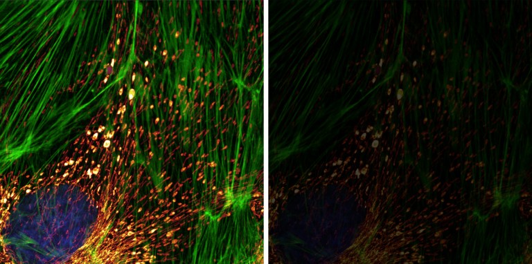 IN-FOCUS: Better To Burn Bright Than To Fade Away: Reducing Photo ...