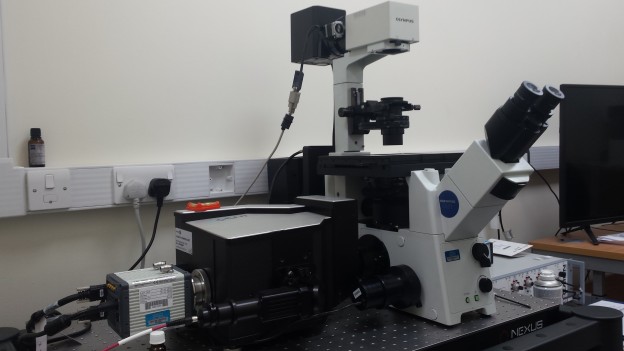 CORE EQUIPMENT: New Spinning Disc Confocal System for Live Cell Imaging ...