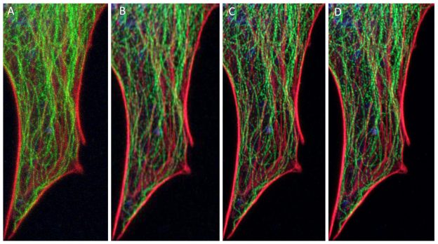 CORE EQUIPMENT: Fast Module Upgrade for the Zeiss LSM880 Airyscan ...