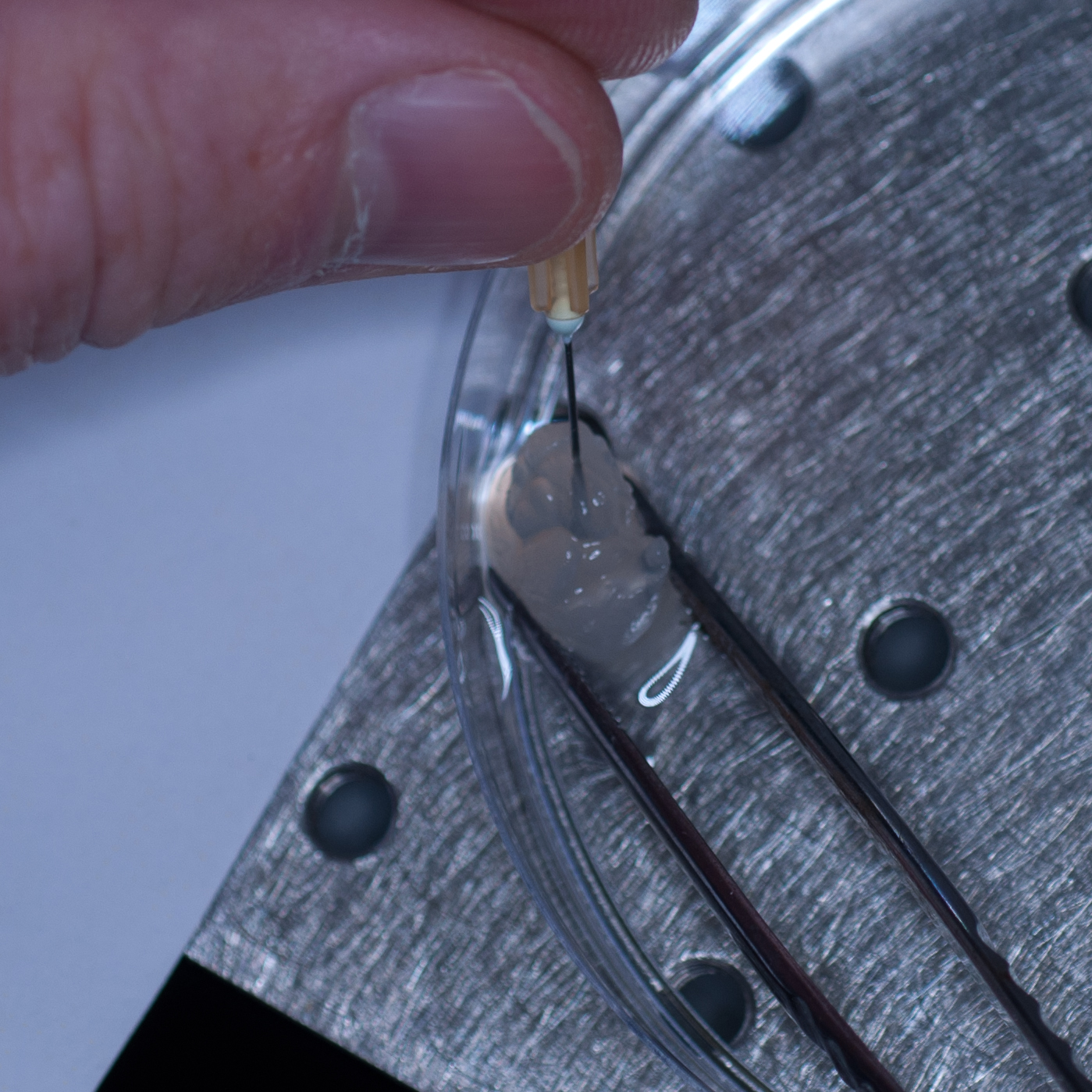 IN FOCUS: Imaging Cleared Tissues by Lightsheet Microscopy ...