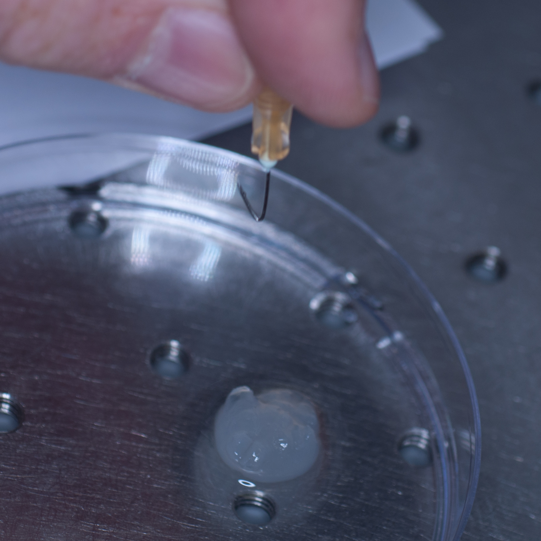 IN FOCUS: Imaging Cleared Tissues by Lightsheet Microscopy ...