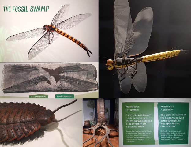 IN FOCUS: Winging It In Paleobiology: Strange Tails from a Strange Time ...