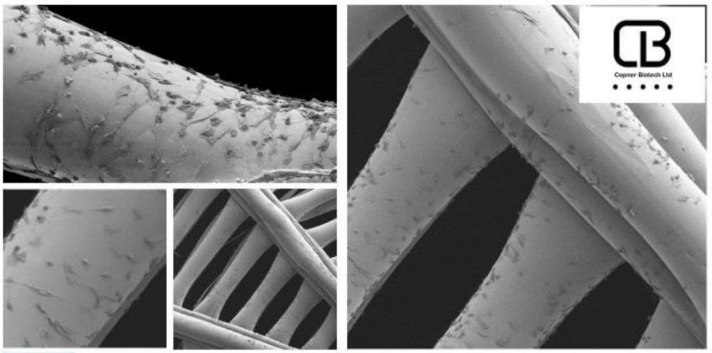 Culture of innovation at Copner Biotech - Innovation + Impact - Cardiff ...