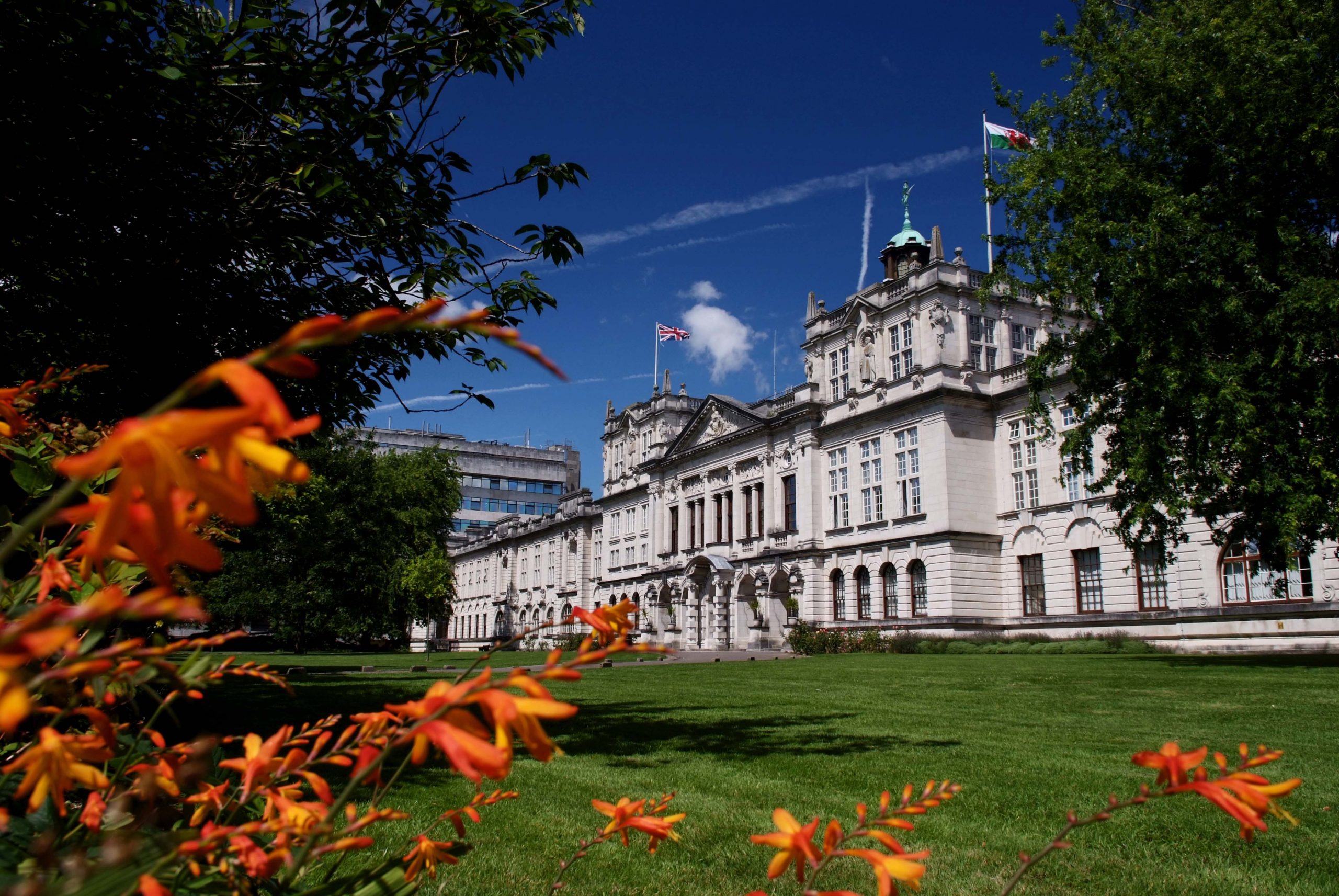A magnet for impact - Innovation + Impact - Cardiff University