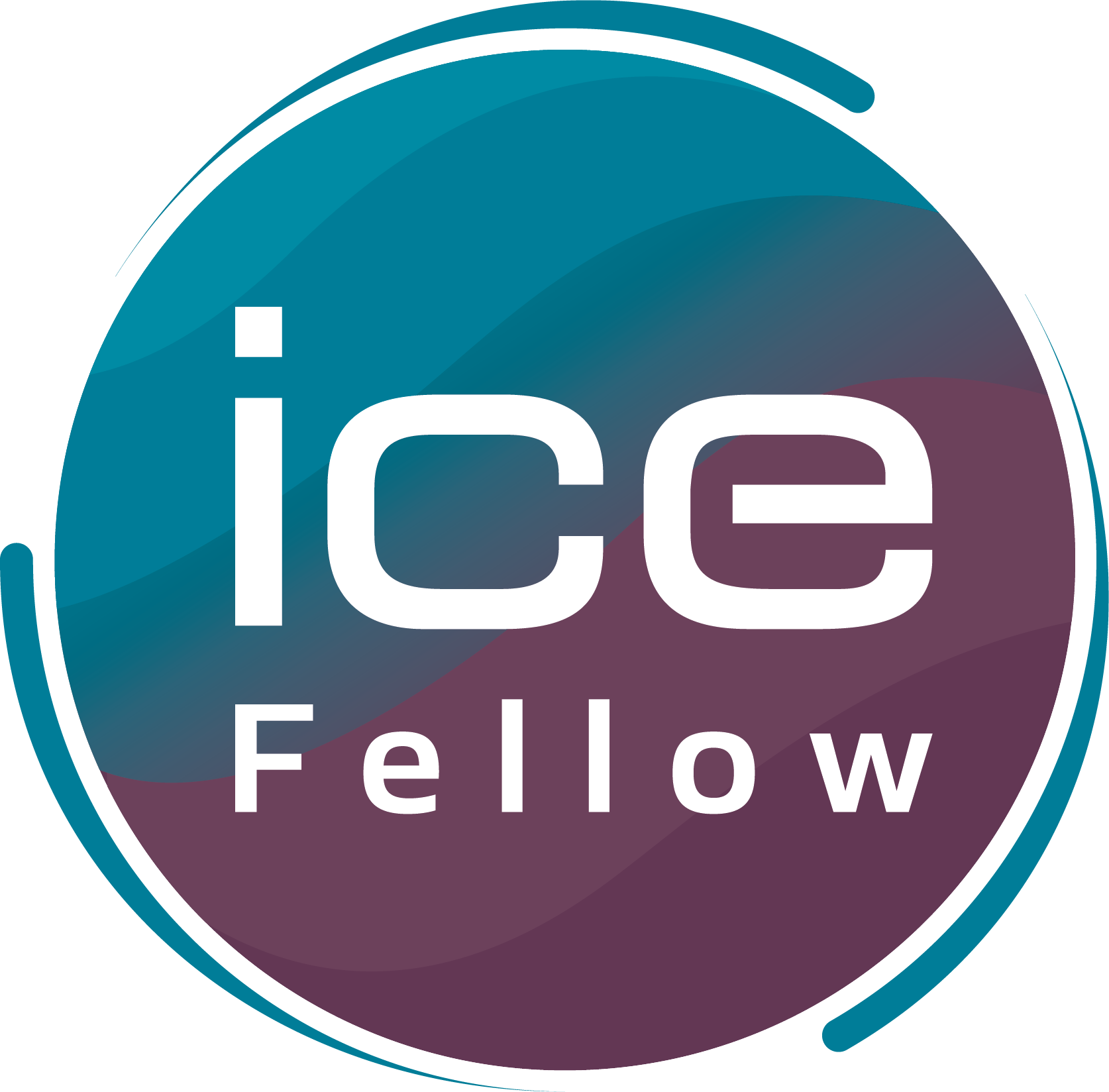 Fellow of the Institution of Civil Engineers (FICE) | Shunqi Pan